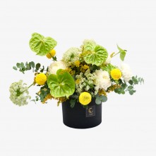 ORCHID: Jual Kotak Bunga Shining Stella Harga Murah