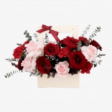 ORCHID: Sell Callista Flower Boxes Best Price