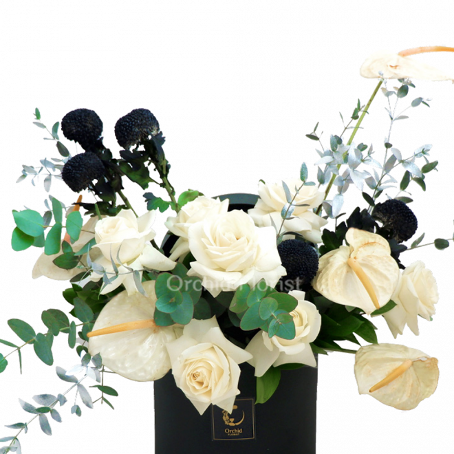 ORCHID: Rangkaian Kotak Bunga New Moon yang Elegan